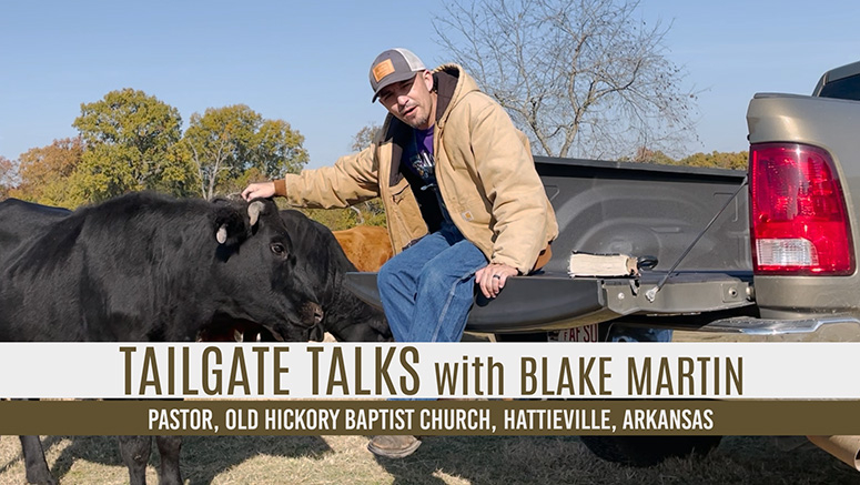 Lessons from the Honeybee: Working with Purpose at Bimmy’s Honeybee ...